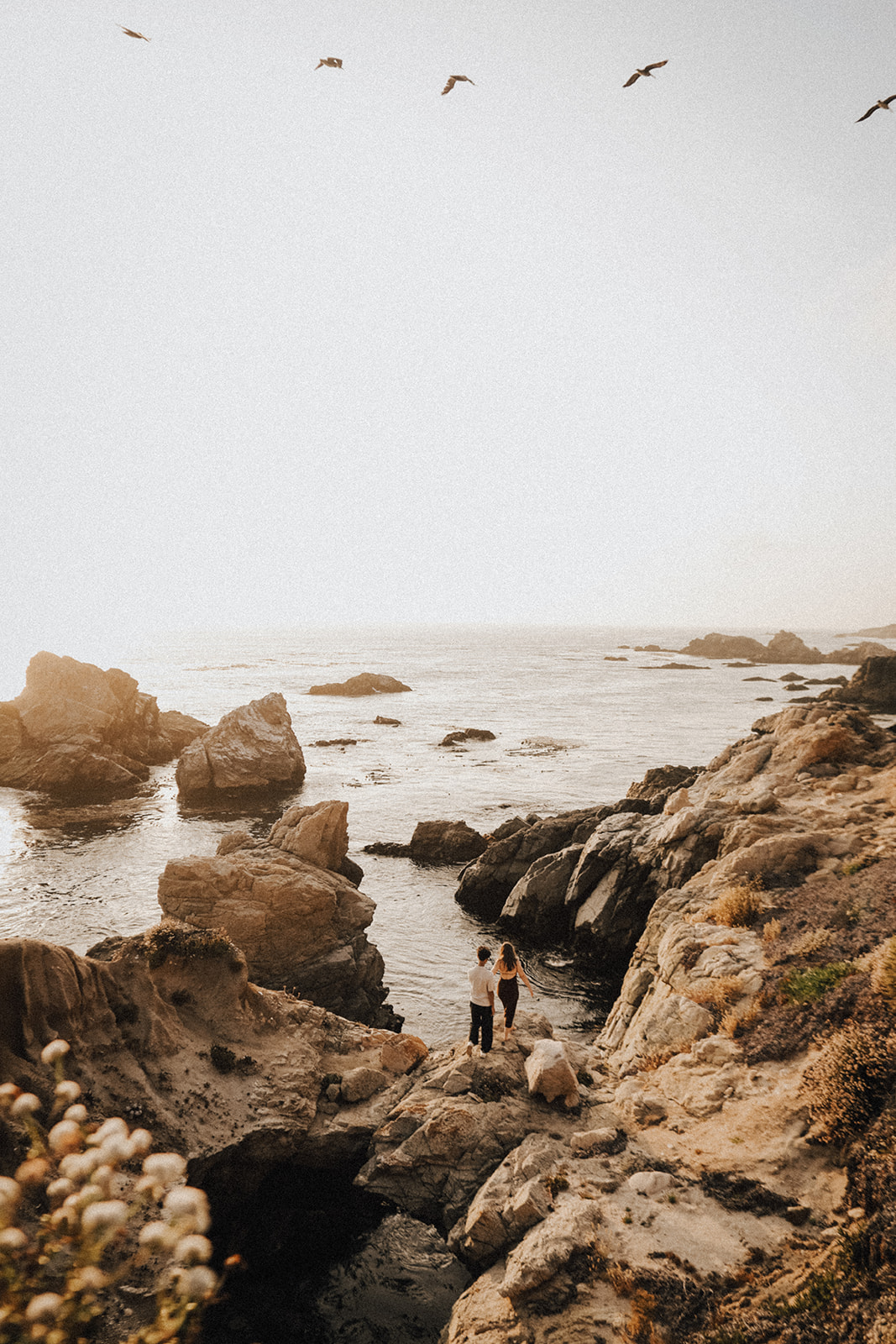 Garrapata State Park Elopement Guide Wedding Guides - Evynn LeValley ...